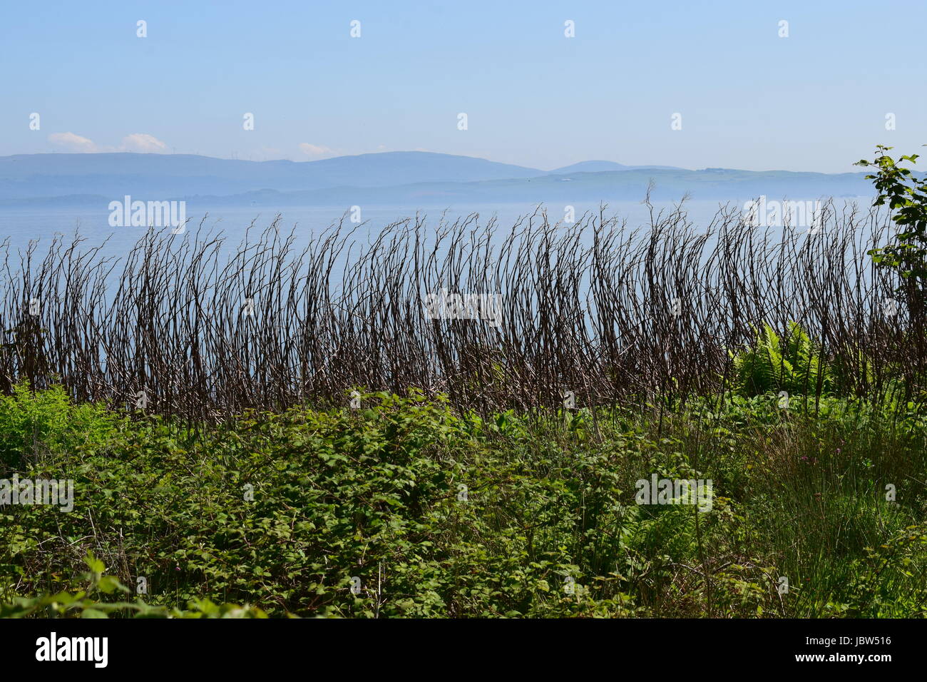 Seaside objects hi-res stock photography and images - Alamy