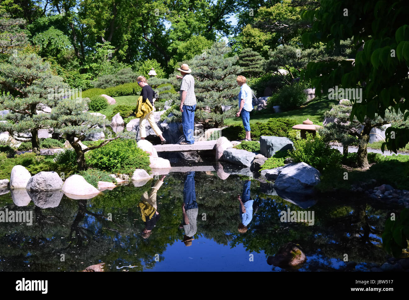 Japanese garden during the summer Stock Photo - Alamy