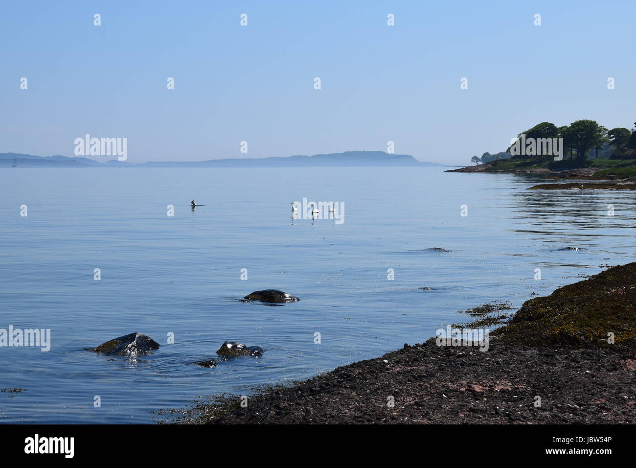 Seaside objects hi-res stock photography and images - Alamy