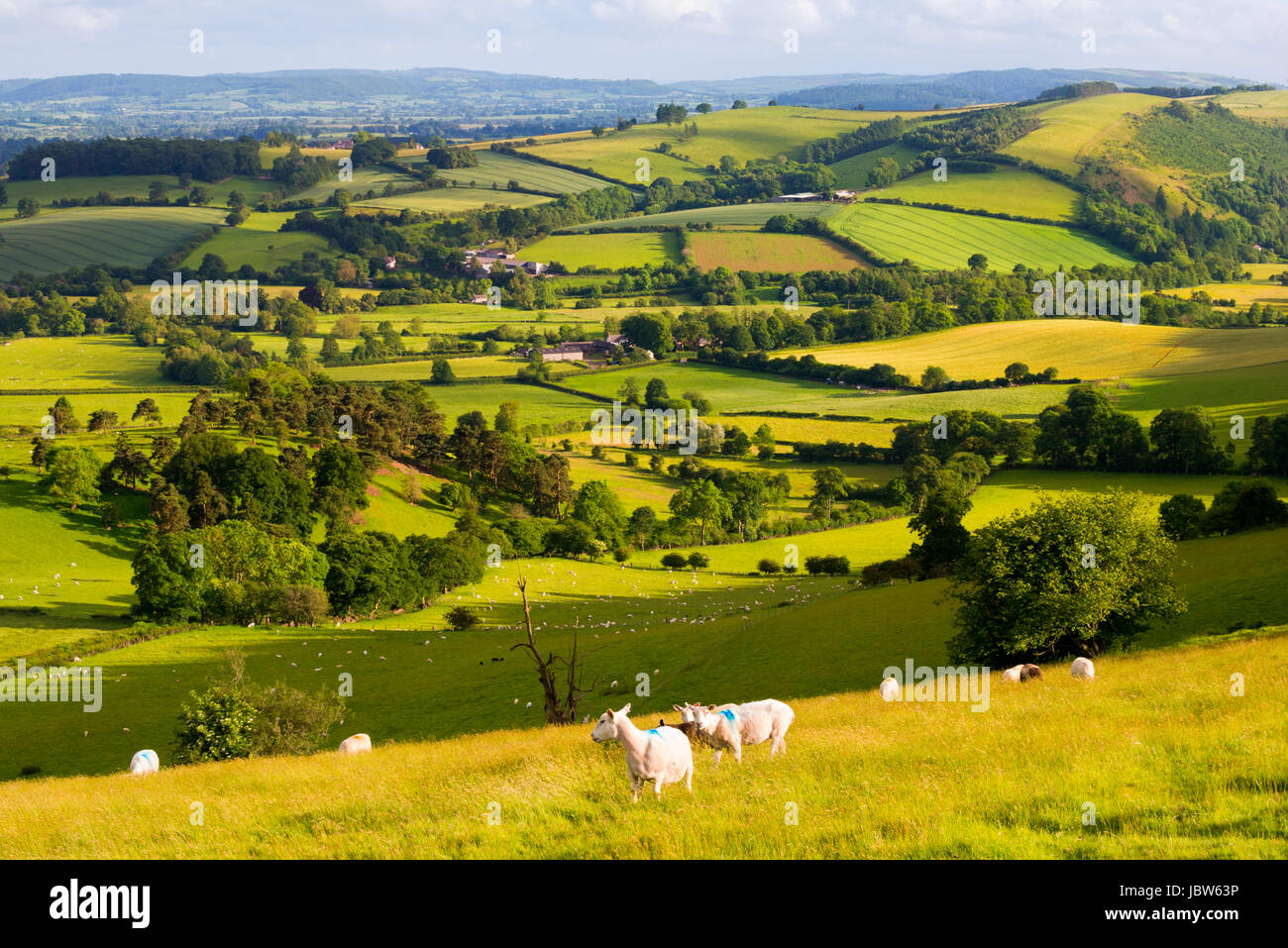 Hopesay village hi-res stock photography and images - Alamy