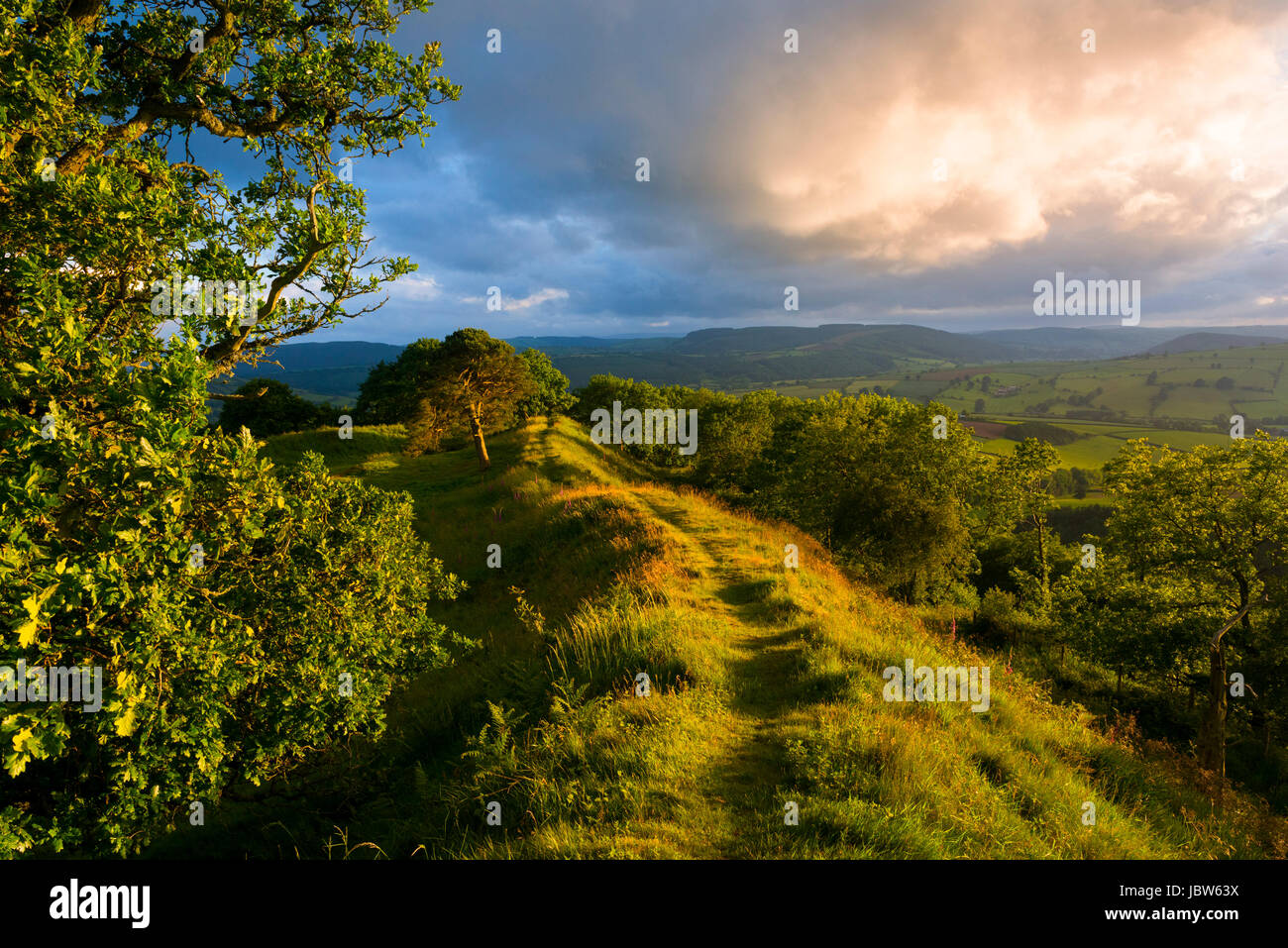 Evening light on Burrow Hill Iron Age hill fort, near Hopesay ...