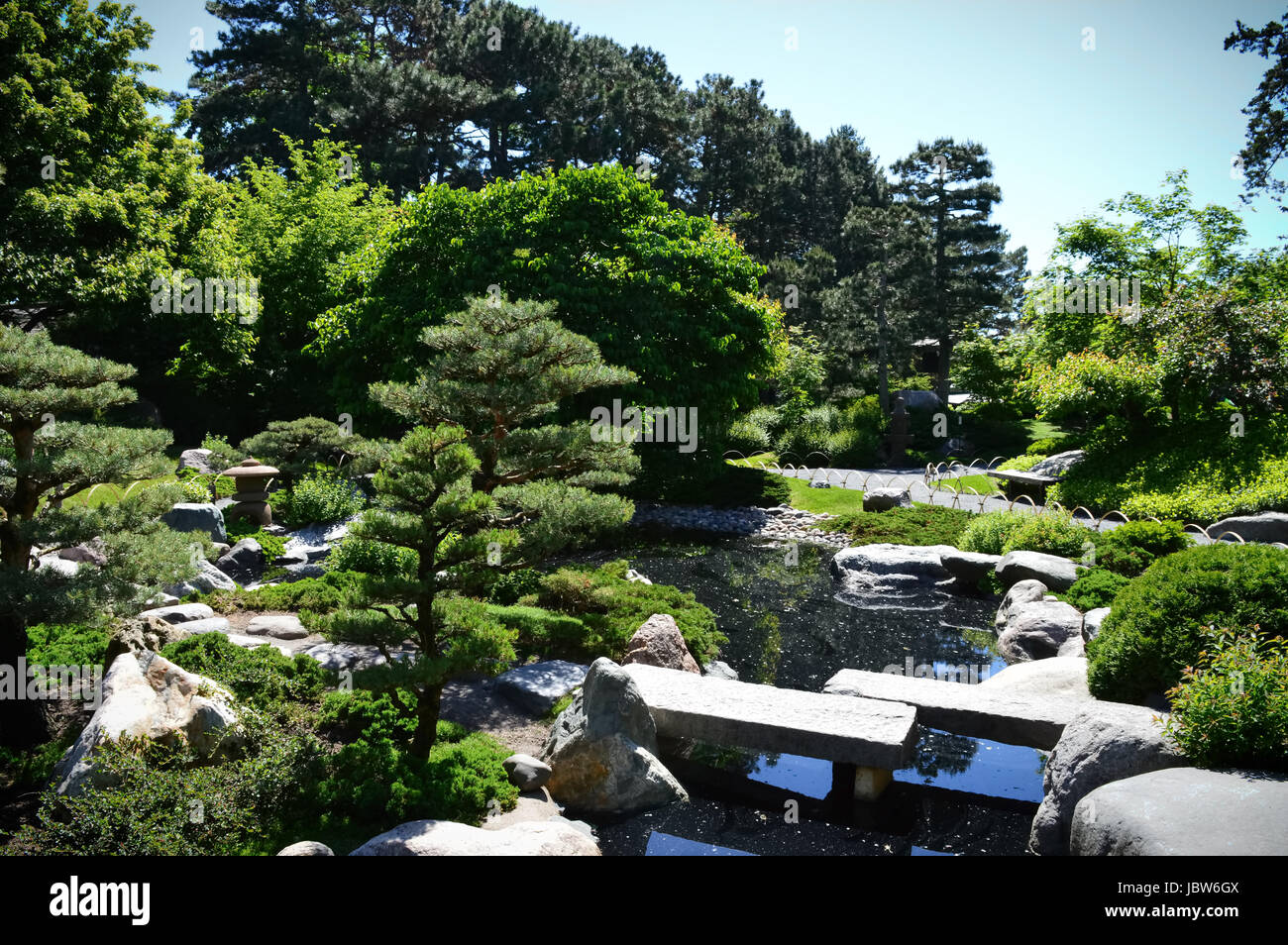 Japanese garden during the summer Stock Photo - Alamy