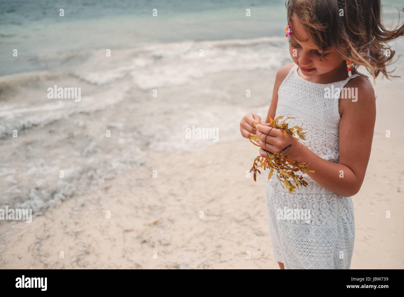 Girl playing with dry seaweed on beach, Cancun, Mexico Stock Photo - Alamy