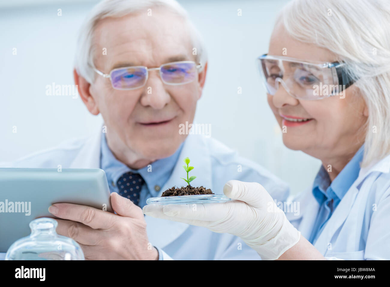 Smiling senior scientists working with digital tablet and green plant ...
