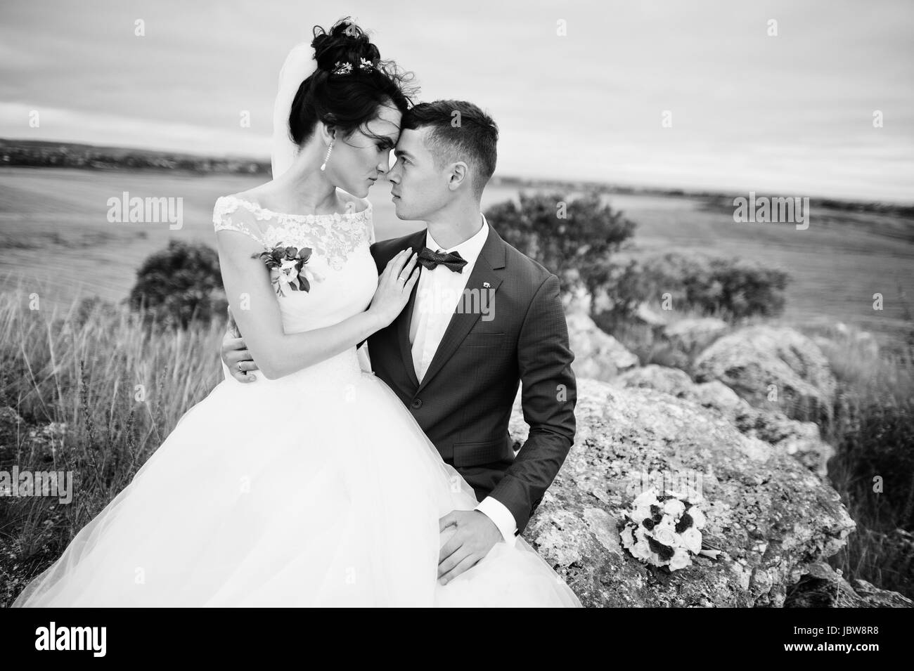 Beautiful bride and handsome groom are sitting on the stone with a ...