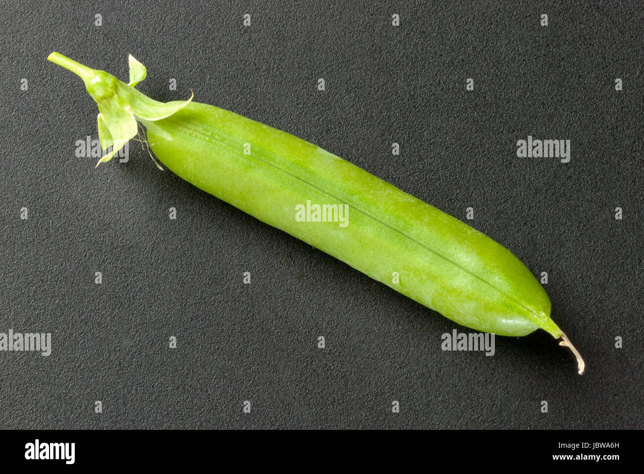 Close-up of a closed fresh pea pod Stock Photo - Alamy
