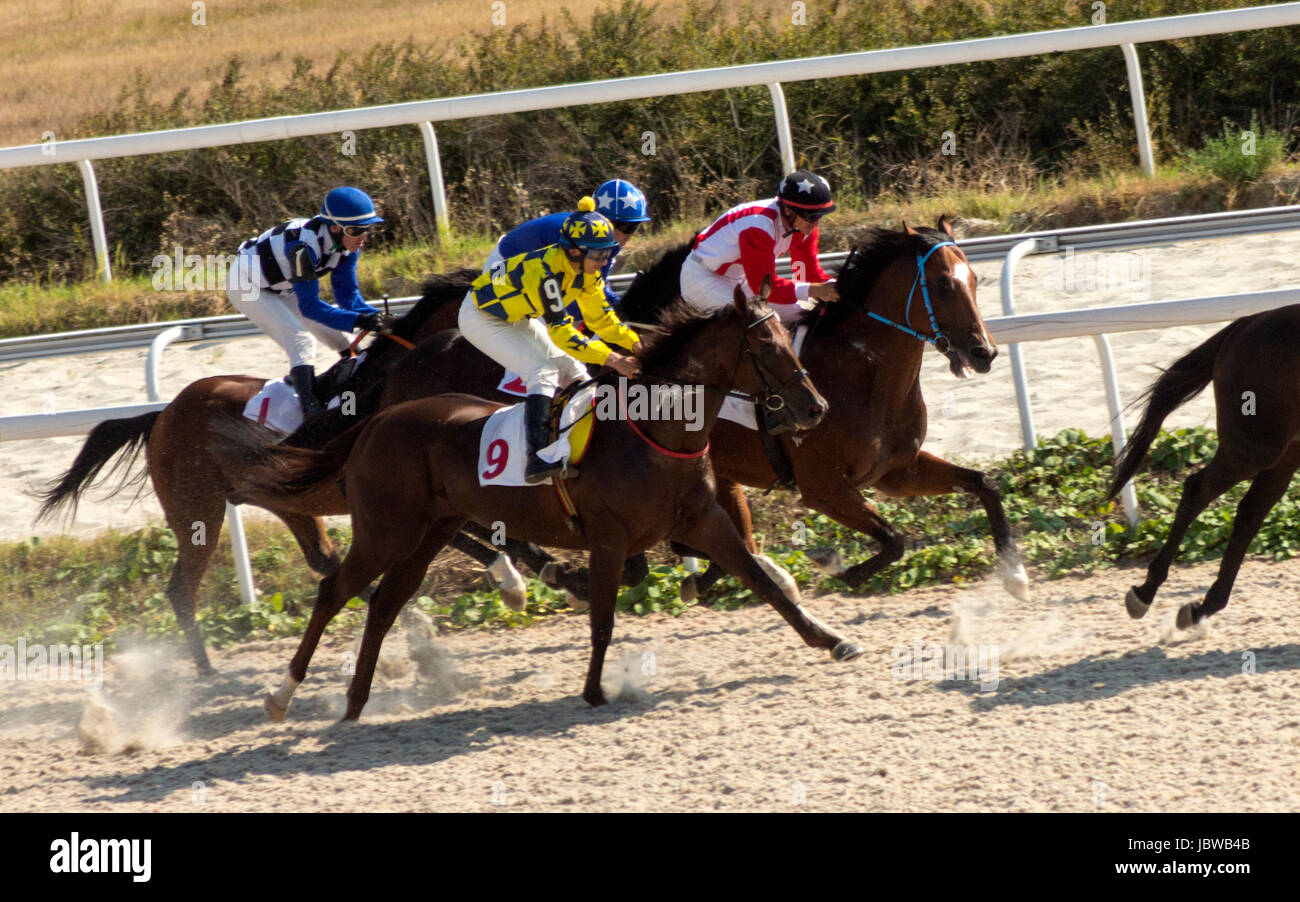 Autumn evening racing hi-res stock photography and images - Alamy