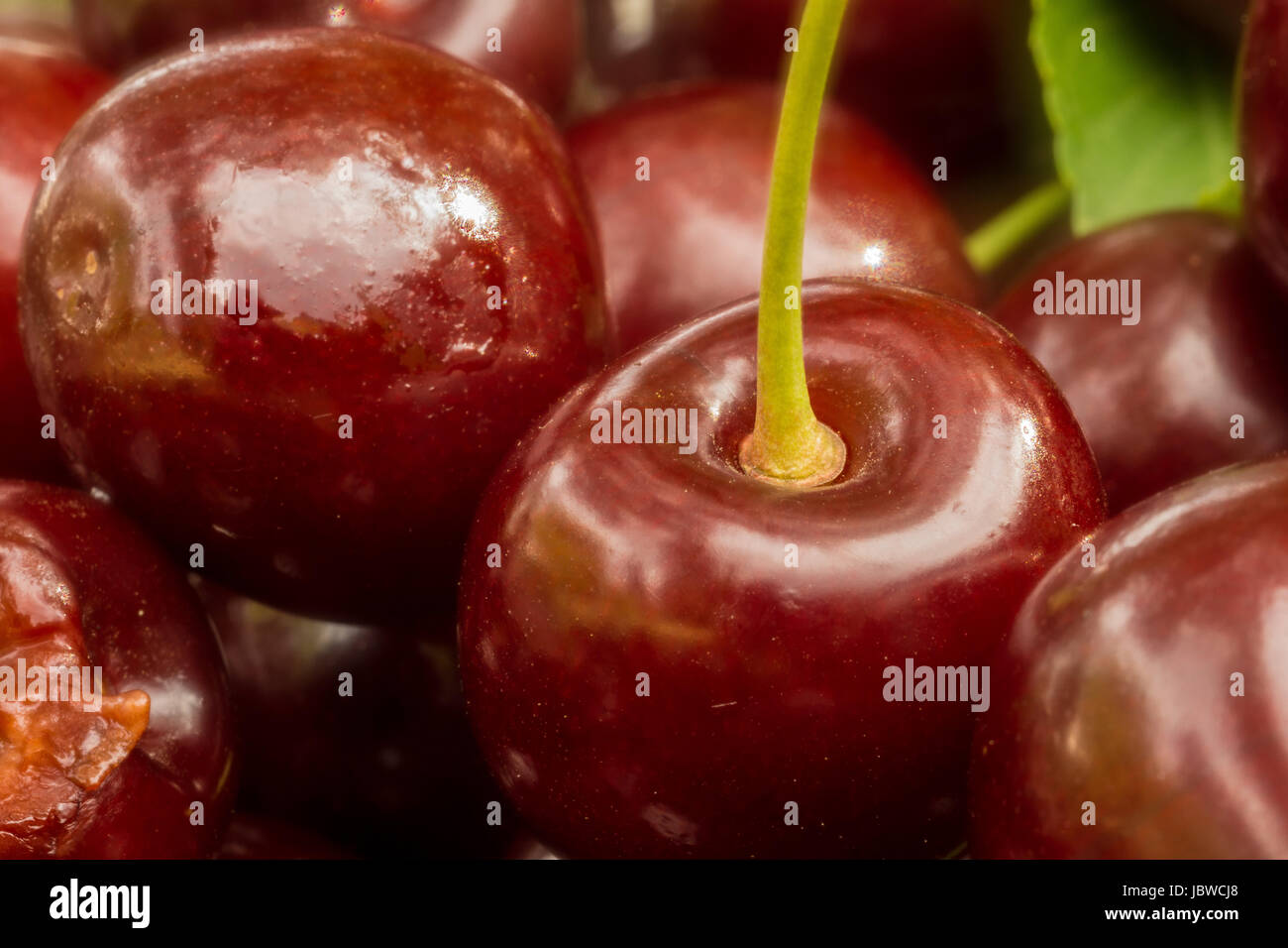 Nahaufnahme einer Kirsche Stock Photo - Alamy