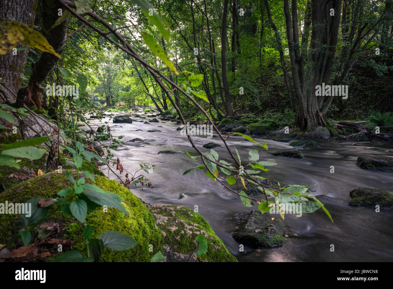 Nice light hi-res stock photography and images - Alamy