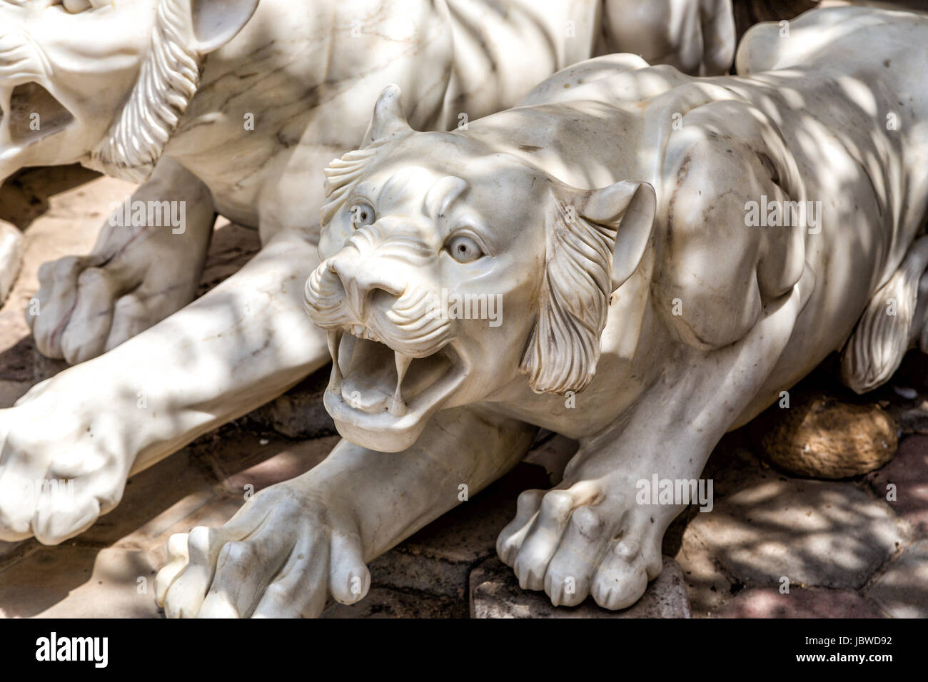 Tiger marble in India, Rajastan Asia Stock Photo - Alamy