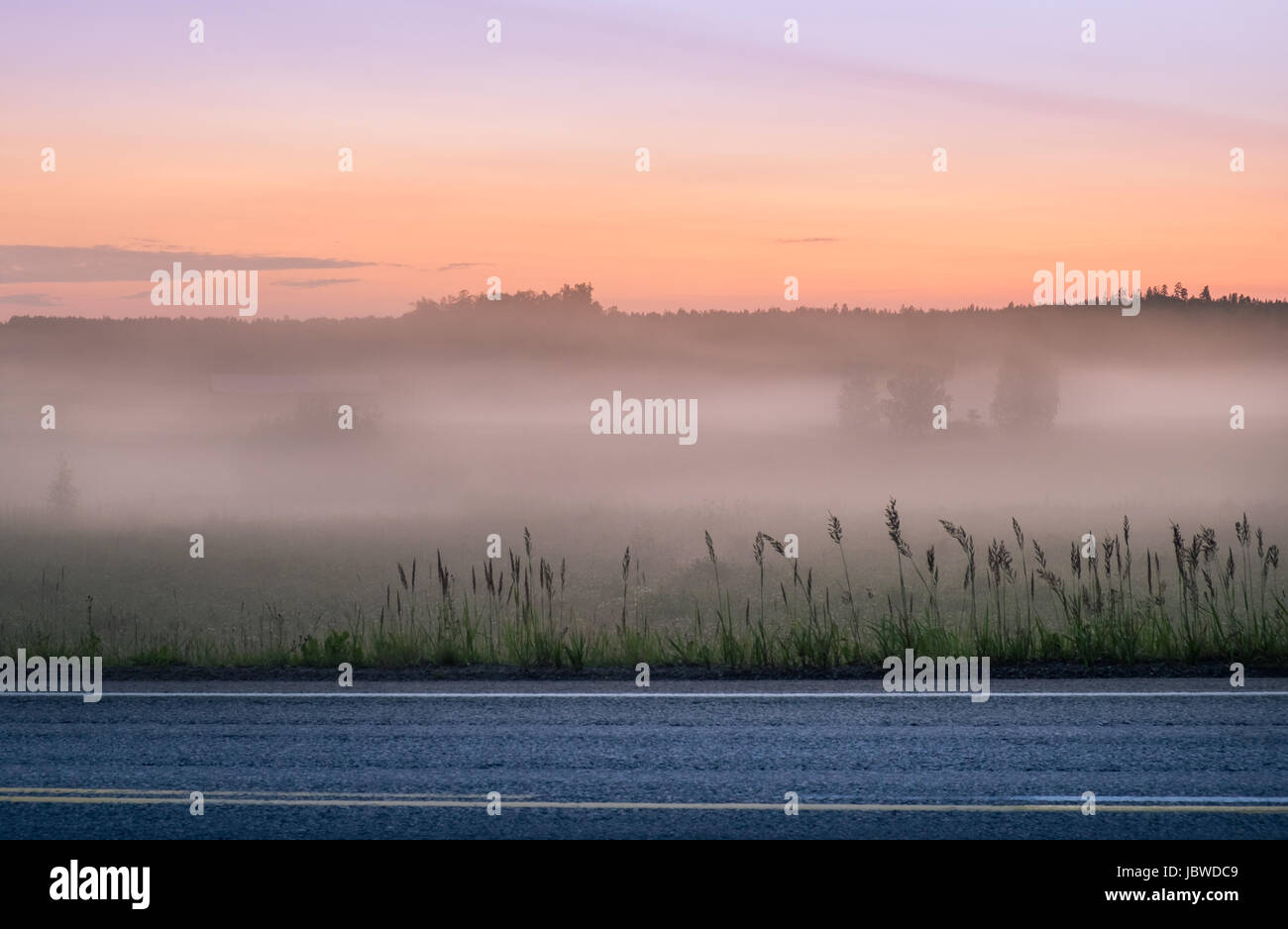 Landscape with mist and fog at summer night in northern Europe Stock ...