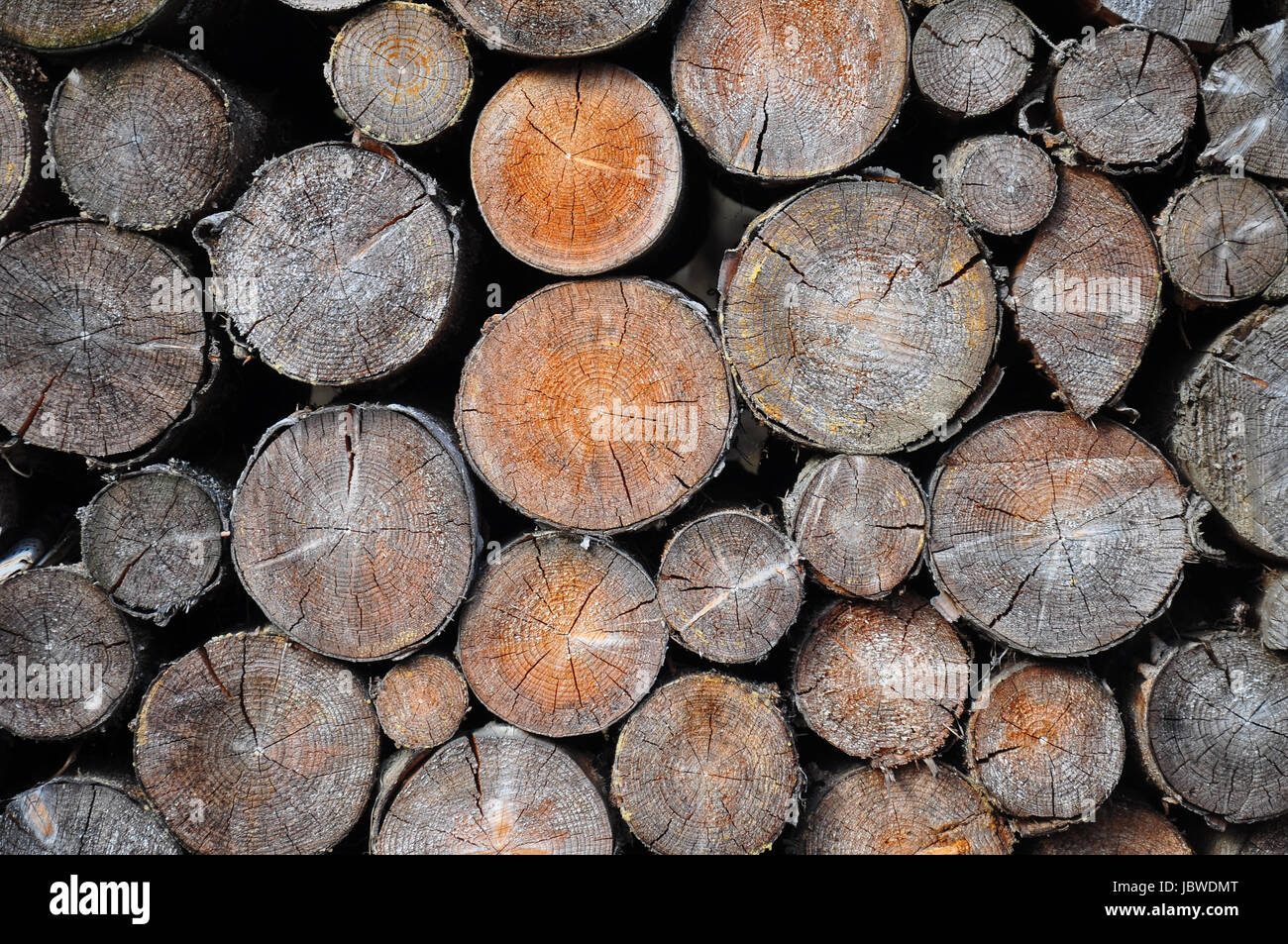 Fichtenholz hi-res stock photography and images - Alamy
