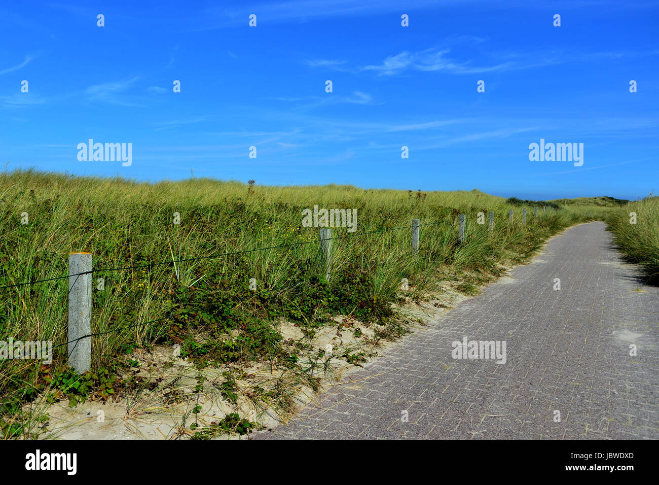 Baltrum, Germany, walk through the dunes Stock Photo - Alamy