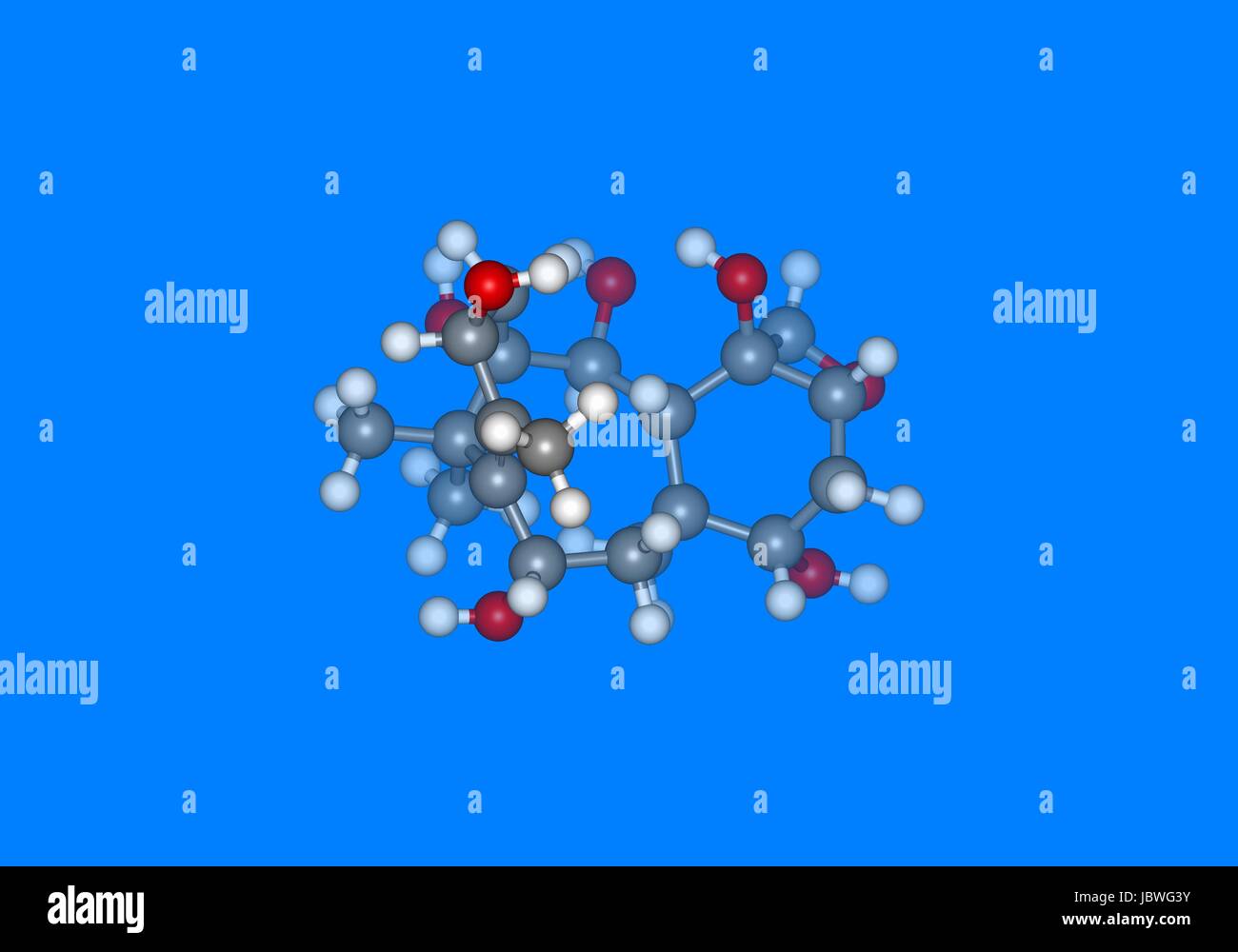 Eiben hi-res stock photography and images - Alamy