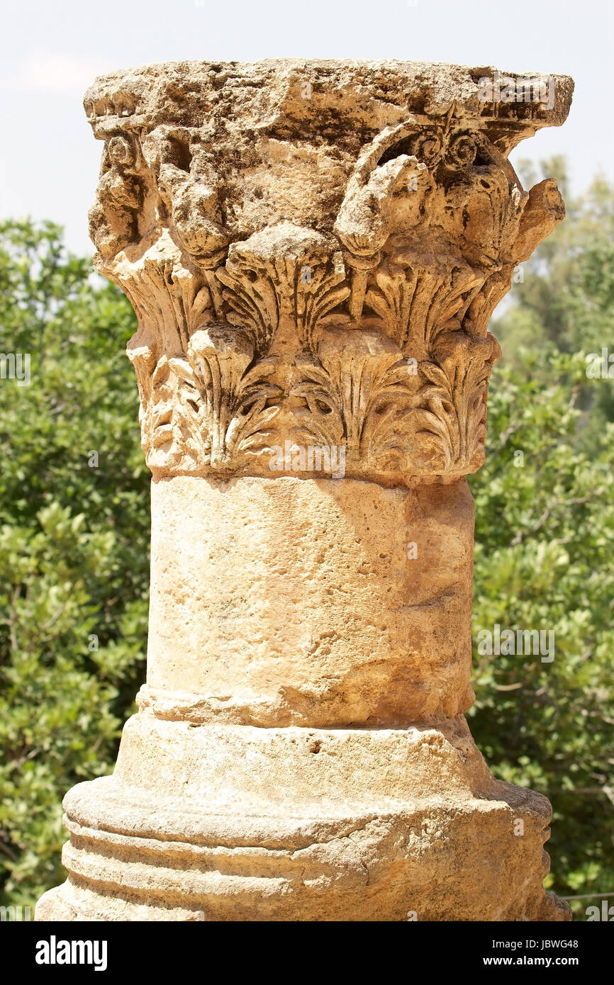Ancient column at the archaeological site at the Banias National Park ...