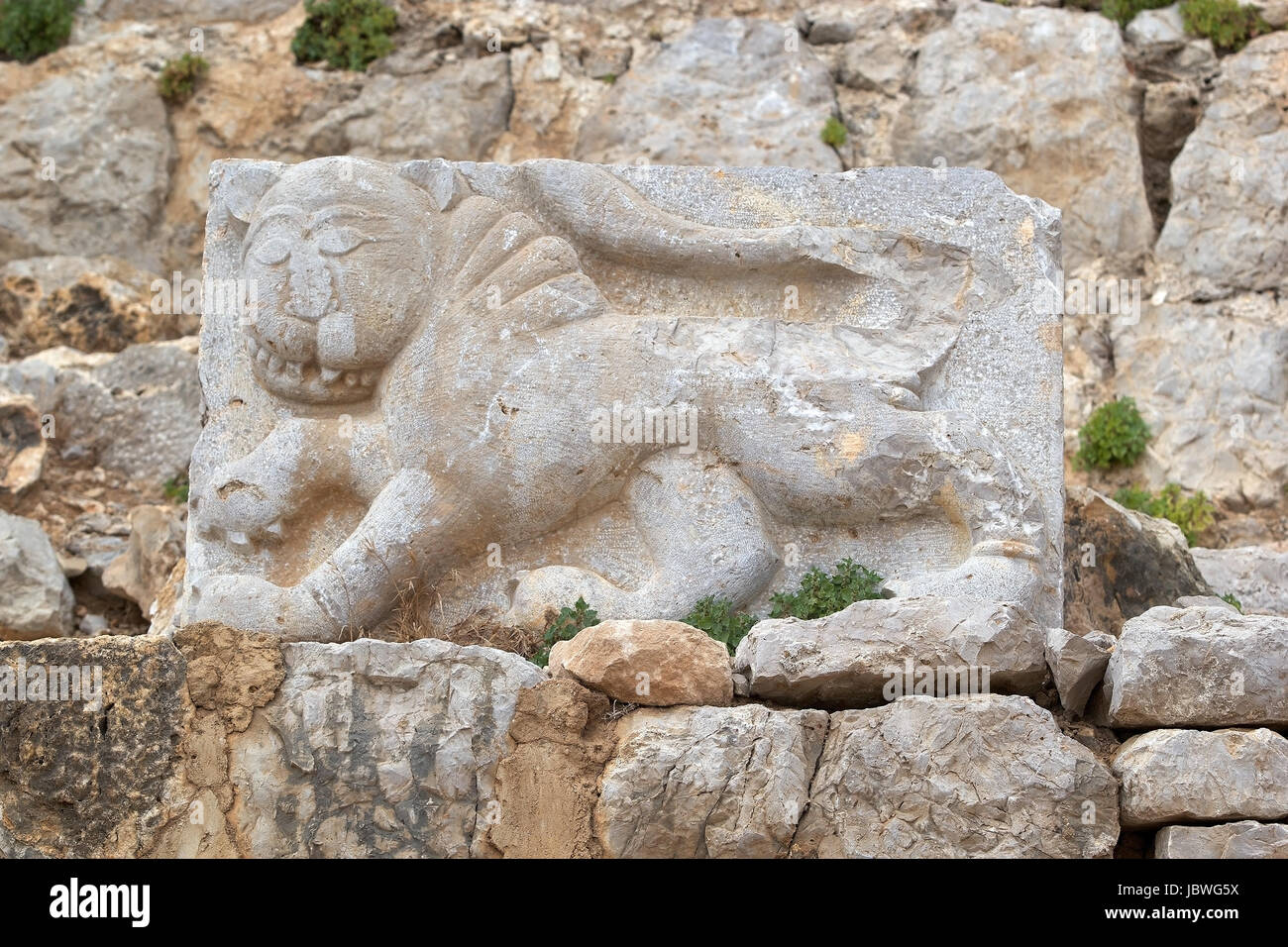 Lion, sculptured in stone, the royal embleme of Sultan Baybars, 1275 C ...