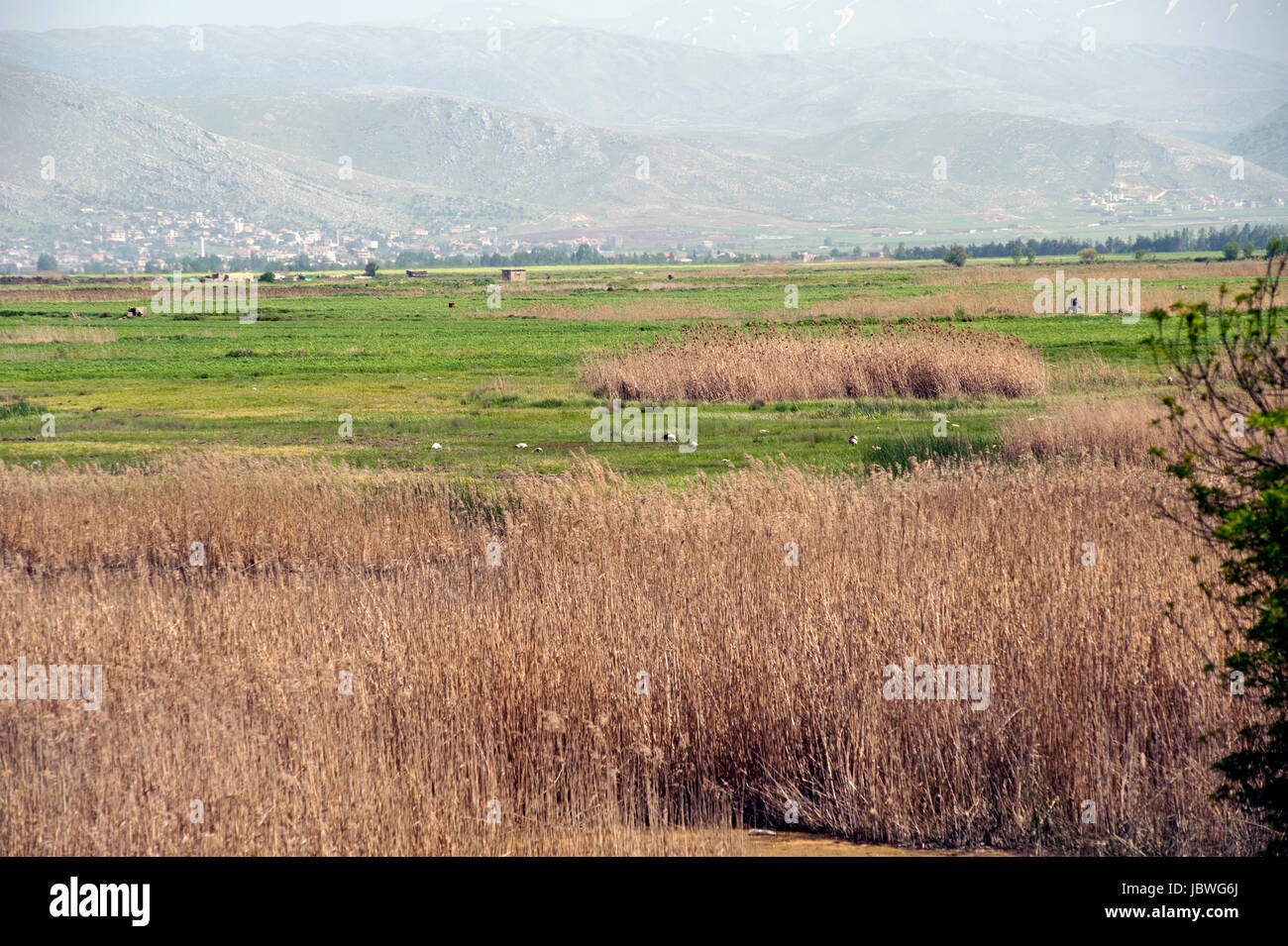 bekaa valley lebanon Stock Photo - Alamy