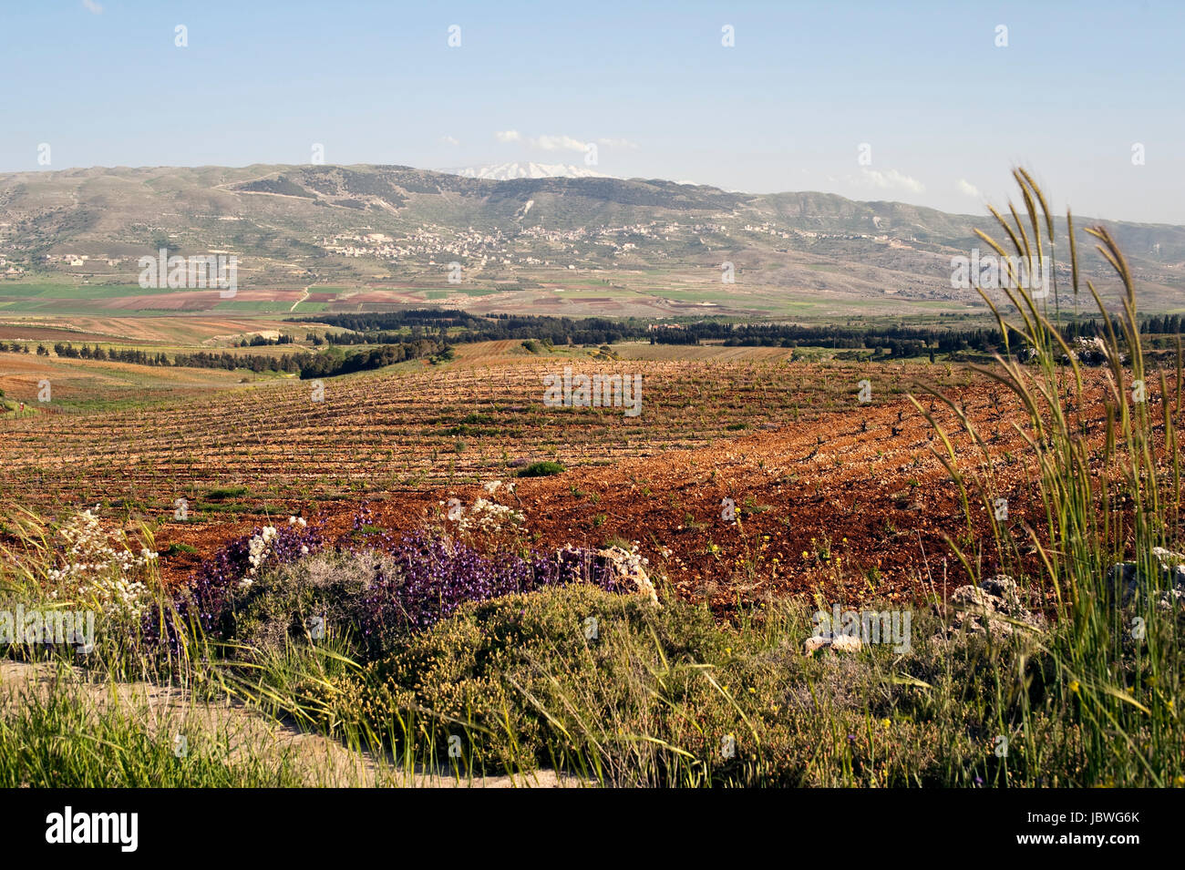 bekaa valley lebanon Stock Photo - Alamy
