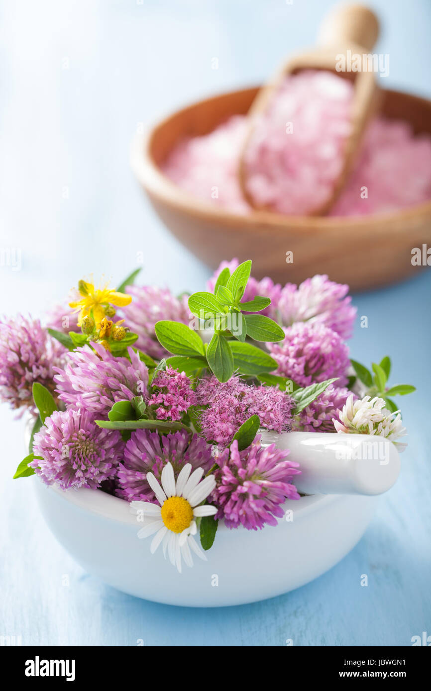 colorful medical flowers and herbs in mortar and pink salt Stock Photo ...