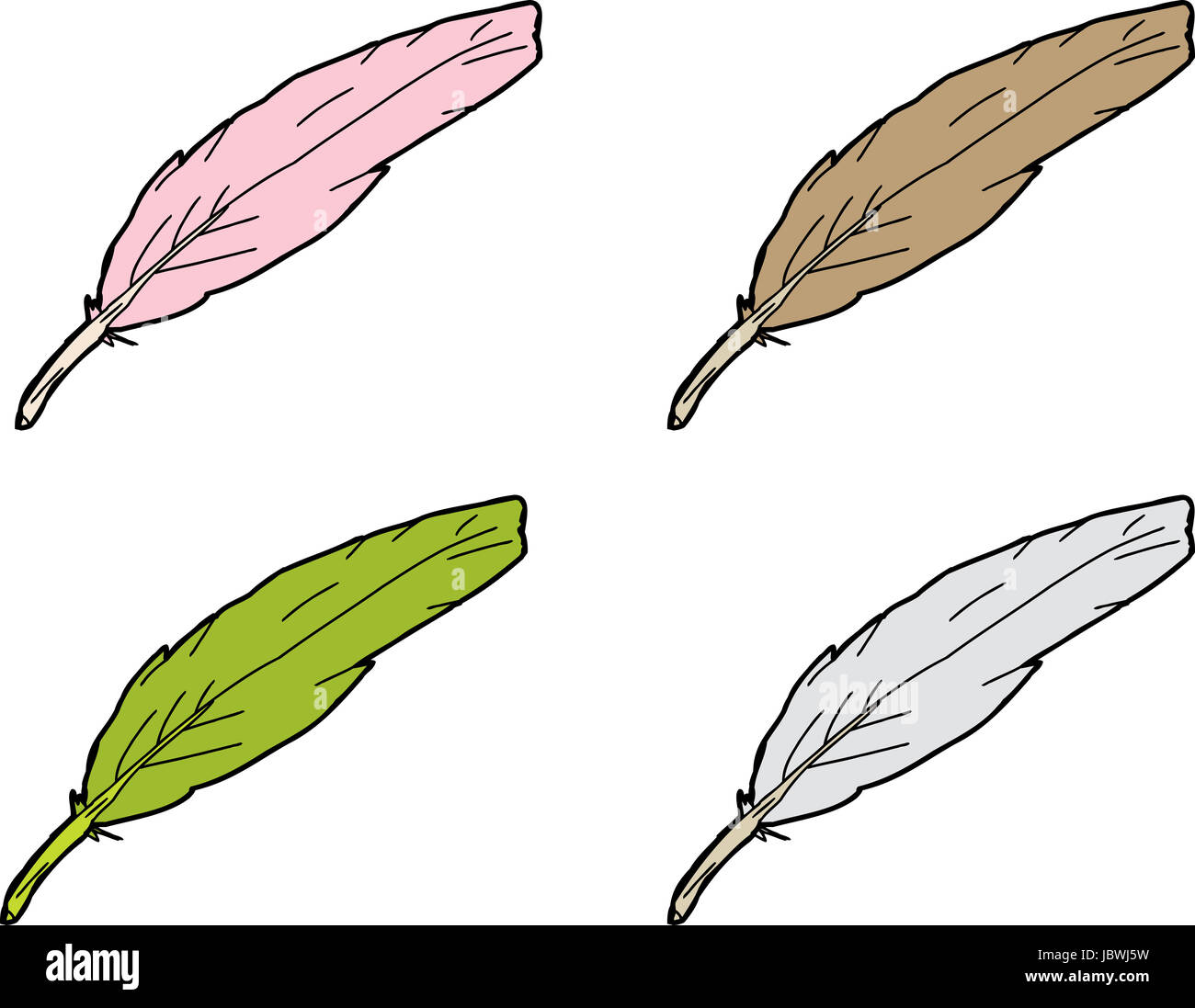 Series of four single bird feathers on white Stock Photo - Alamy