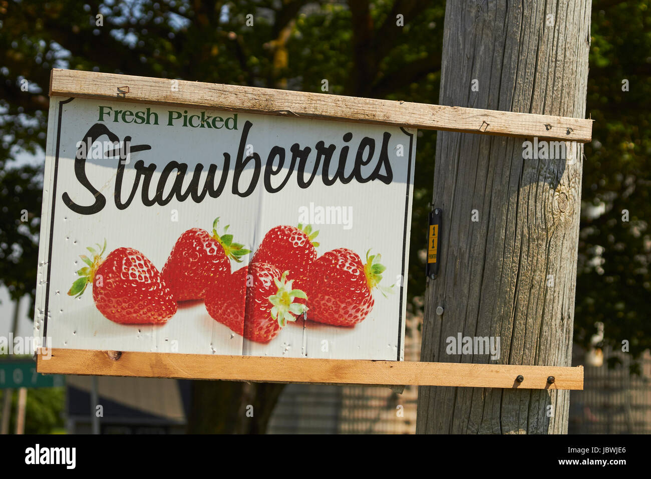Strawberries sign hi-res stock photography and images - Alamy