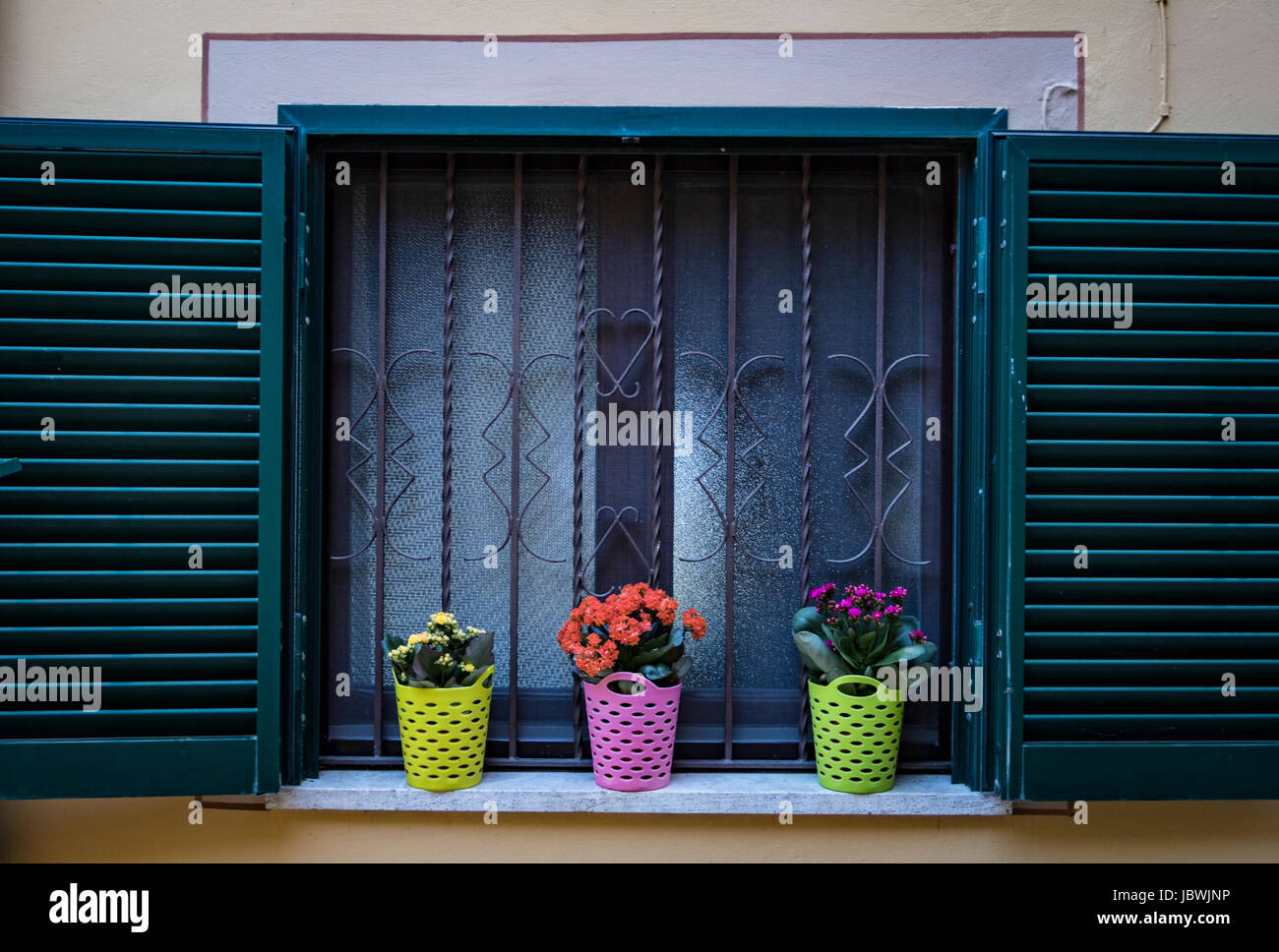 Three colourful flower pots in window Stock Photo - Alamy
