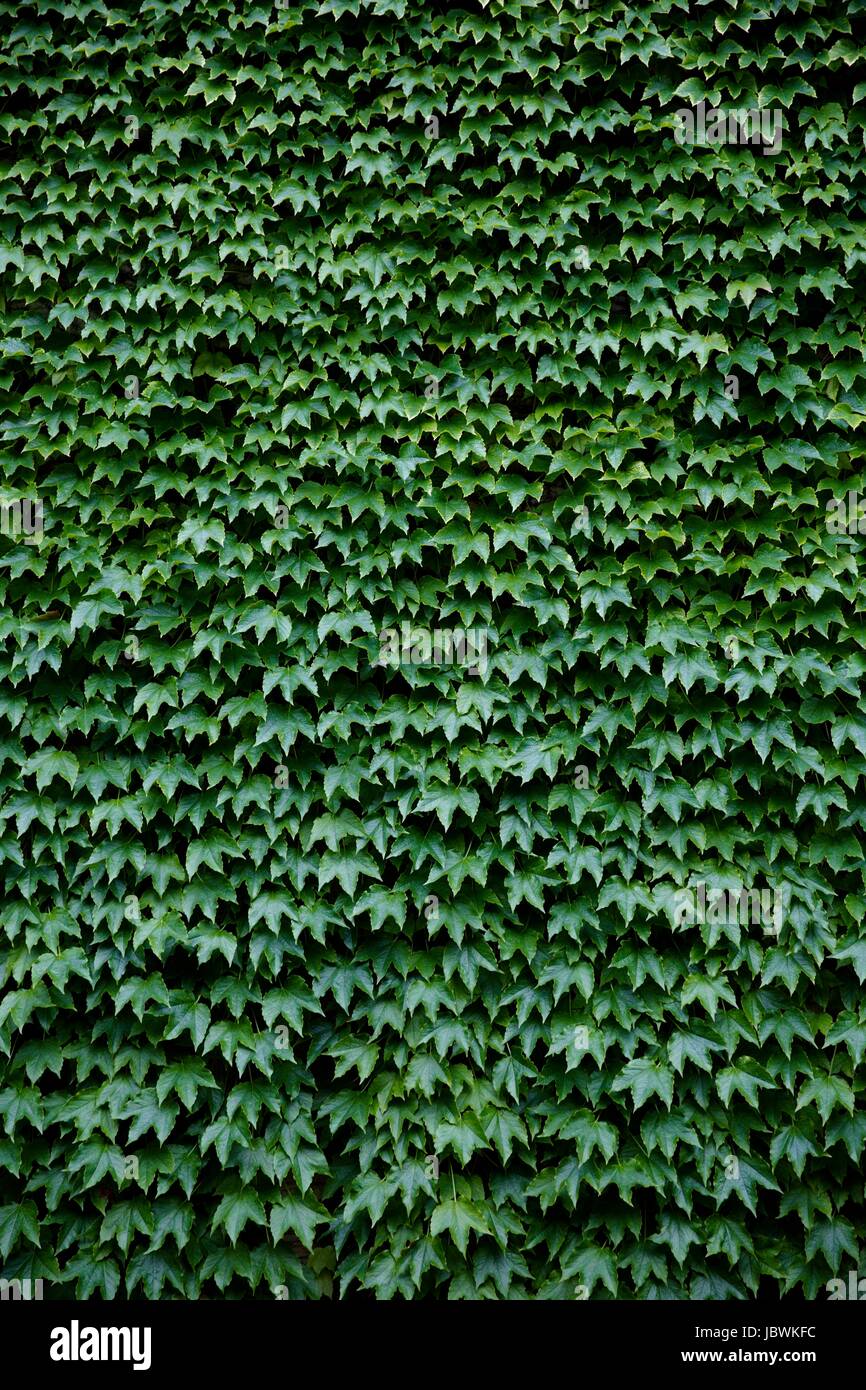 Monoton color hi-res stock photography and images - Alamy