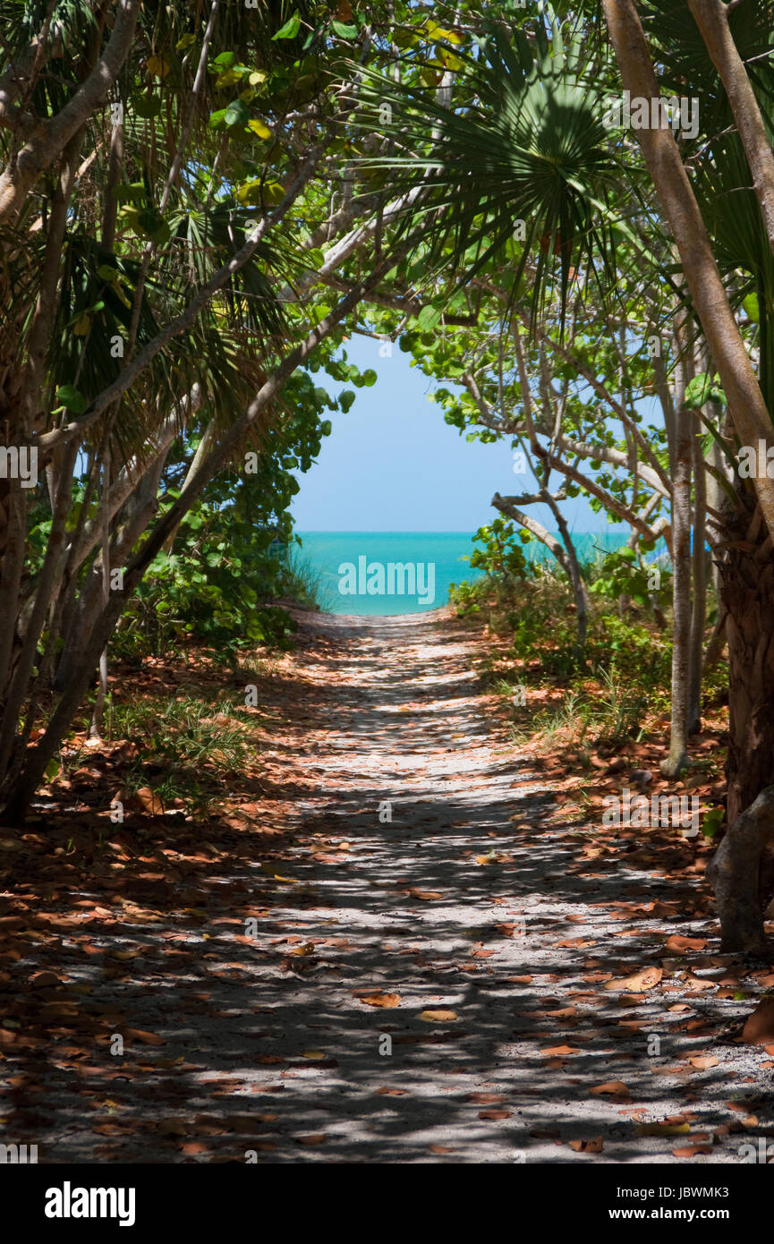 beach entrance,passage,dune,beach,ocean,atlantic,access,gulf,florida ...