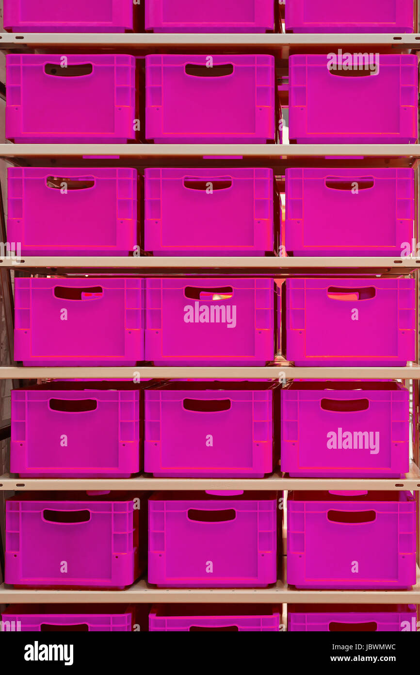 Shelf with pink plastic crates in warehouse Stock Photo - Alamy