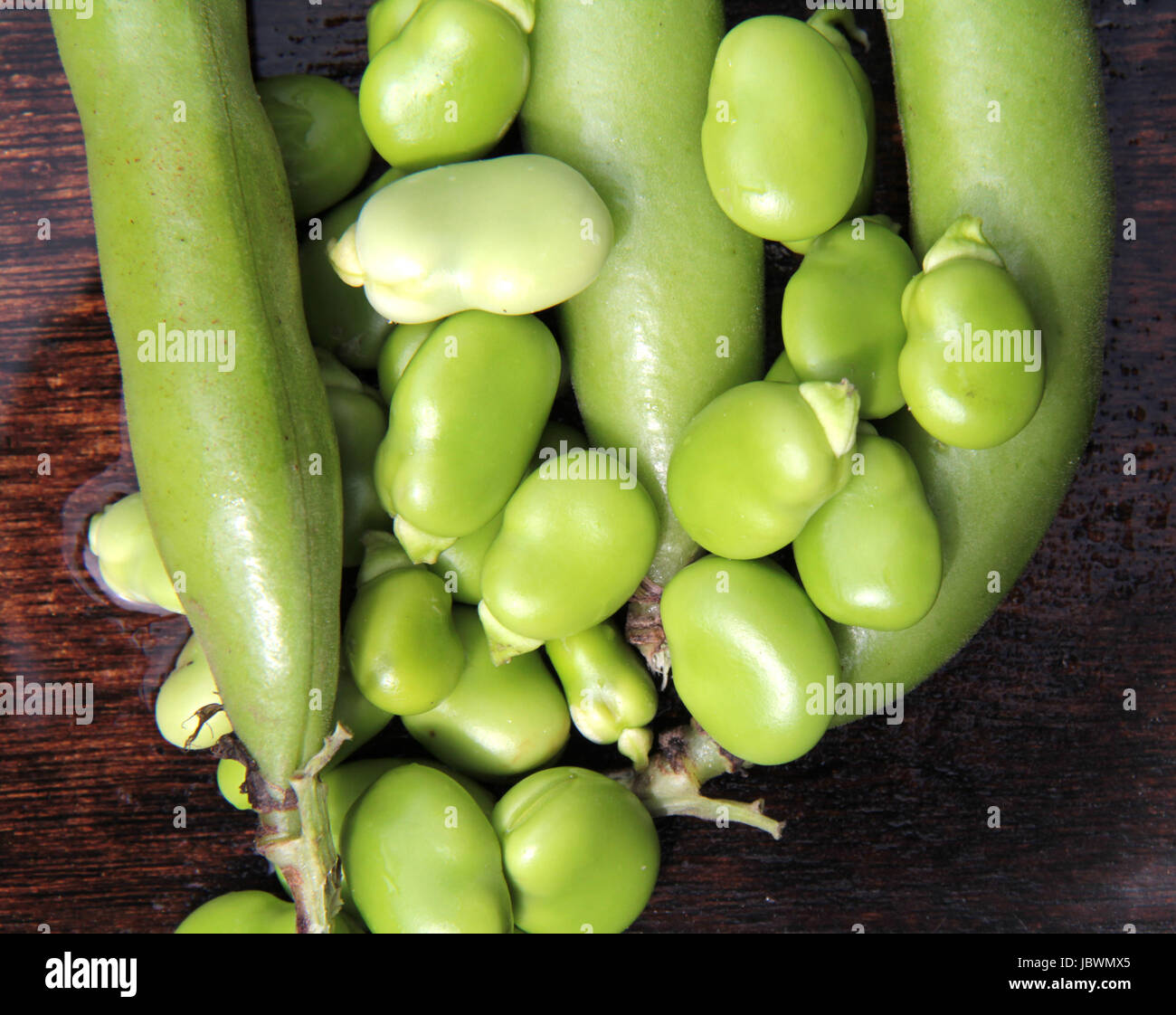 Grosse bohne hi-res stock photography and images - Alamy