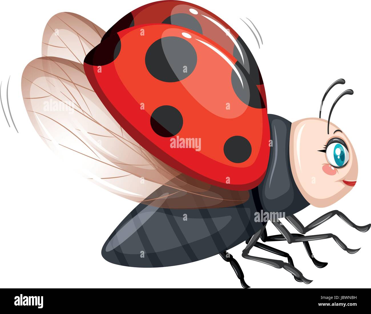 Ladybug Flying