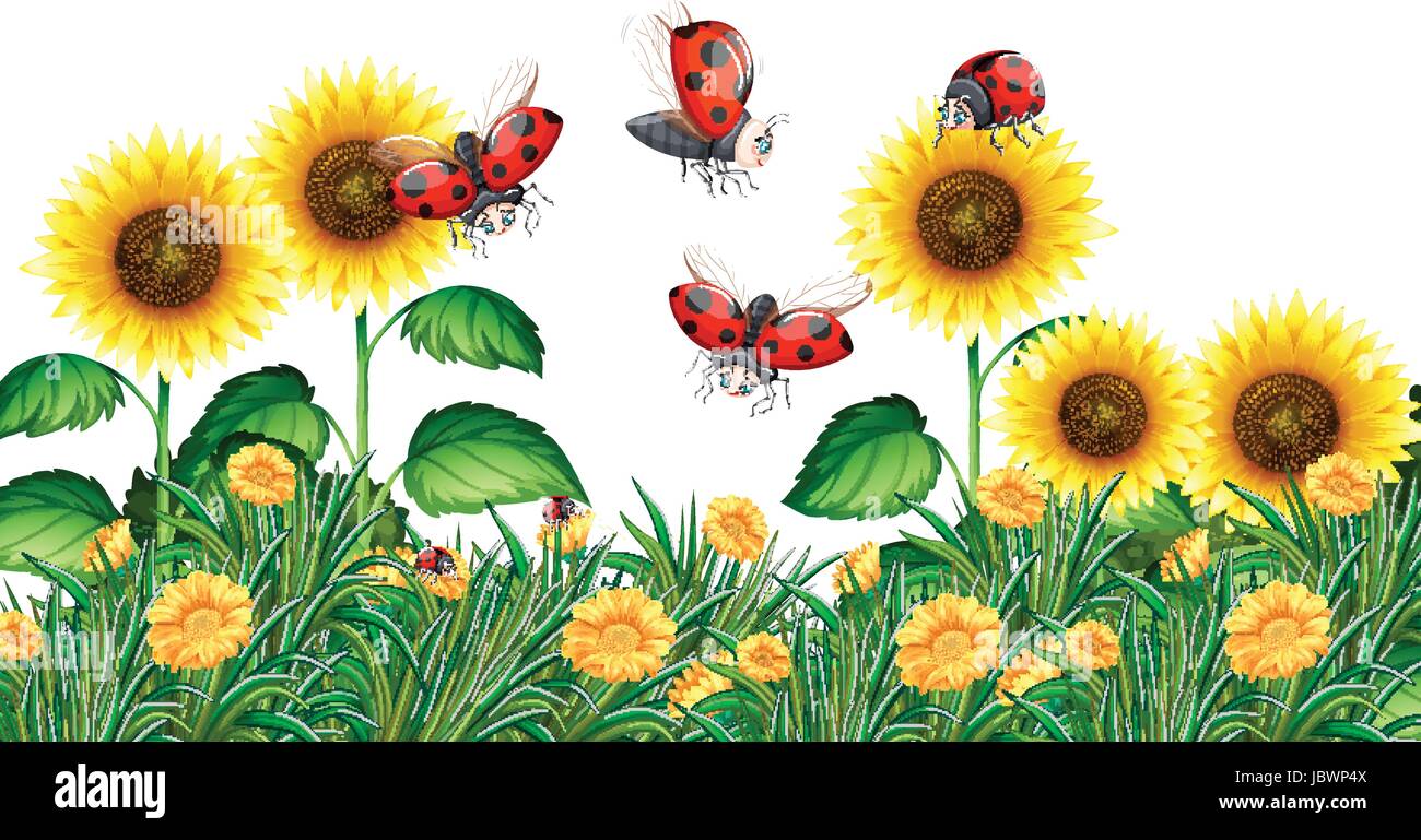 Ladybugs flying in sunflower garden illustration Stock Vector Image ...