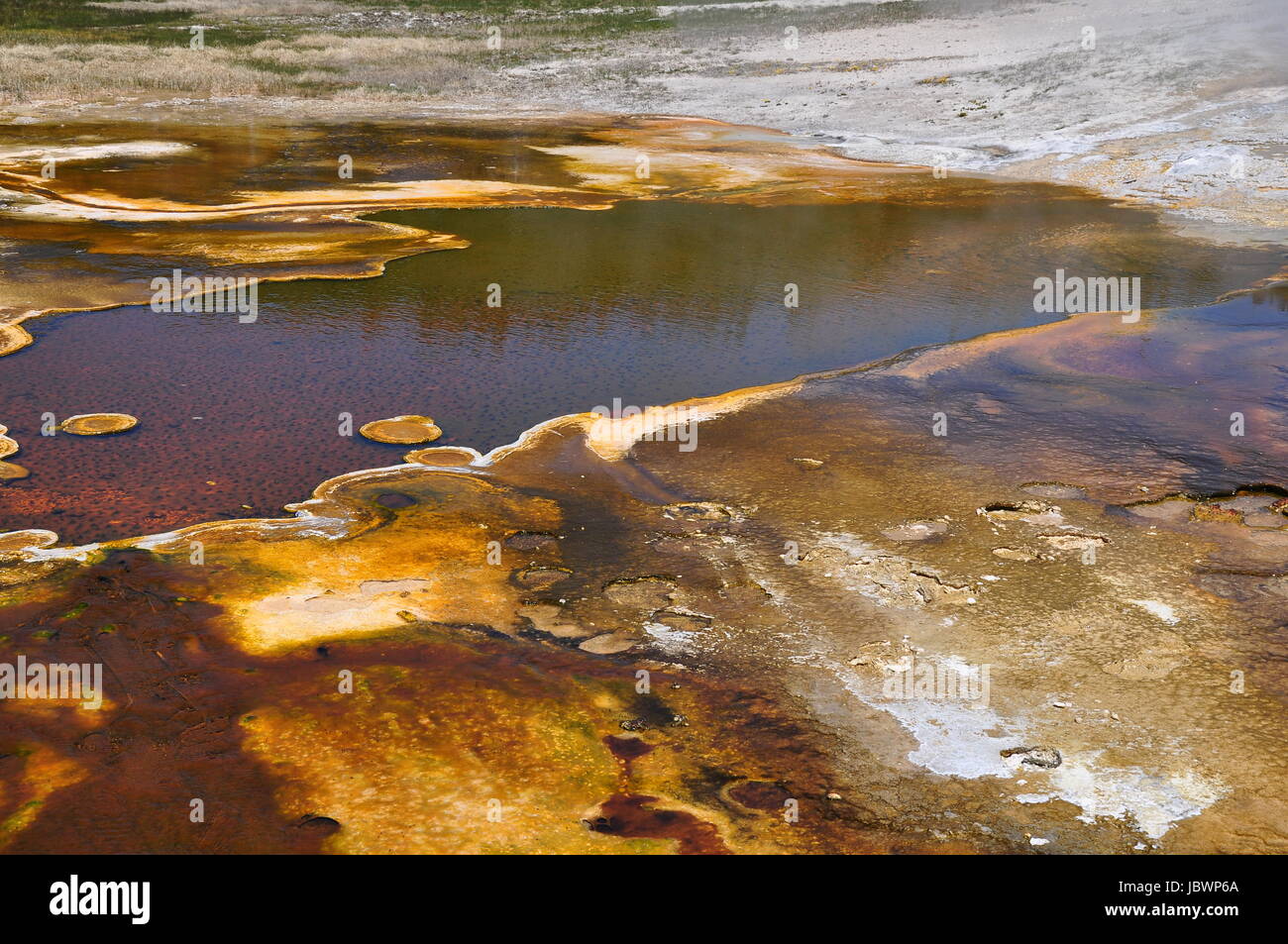 algae and deposits of the geysers Stock Photo - Alamy