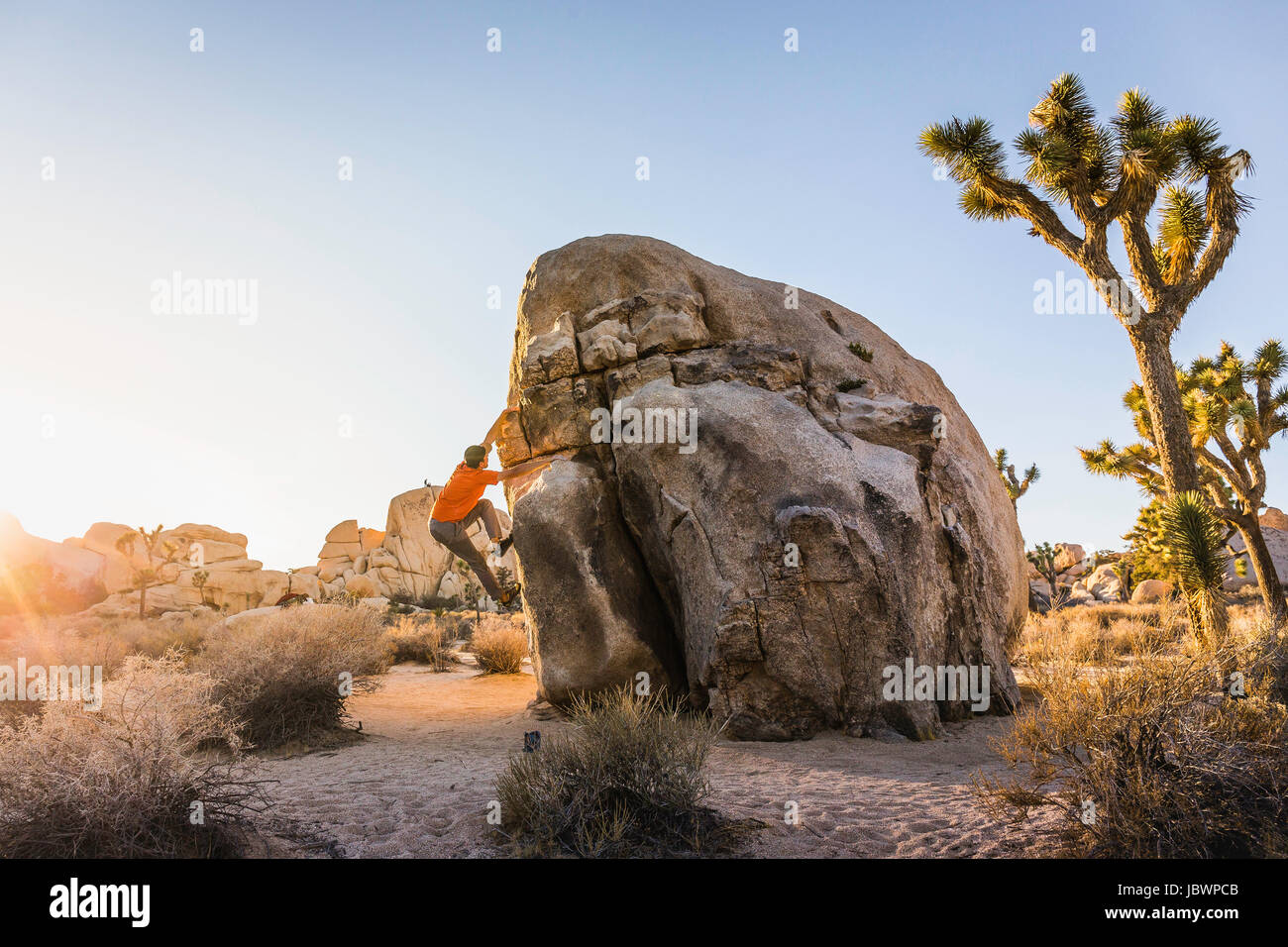Male boulderer moving up boulder in Joshua Tree National Park at dusk ...