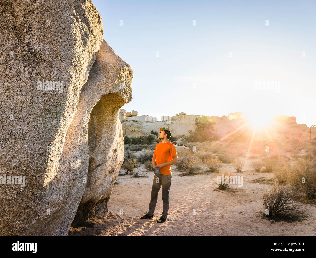 Male boulderer looking up at boulder in Joshua Tree National Park at ...