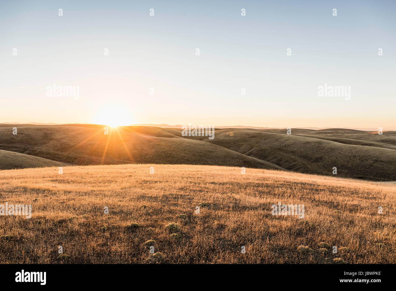 Sunset landscape view of rolling prairie hills, Bakersfield, California ...