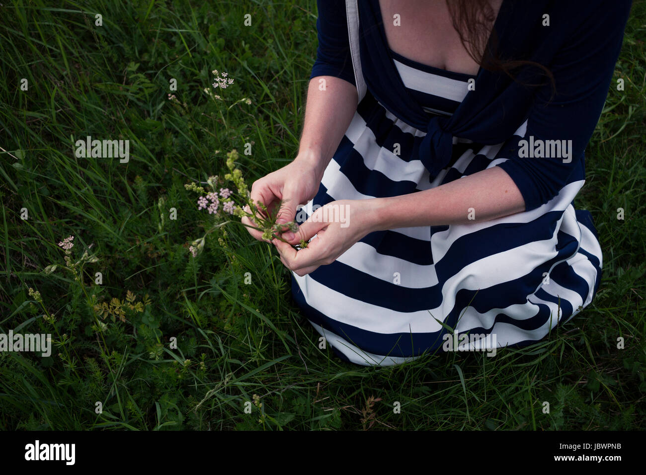 Young woman crouching in field, picking wild flowers, low section Stock ...