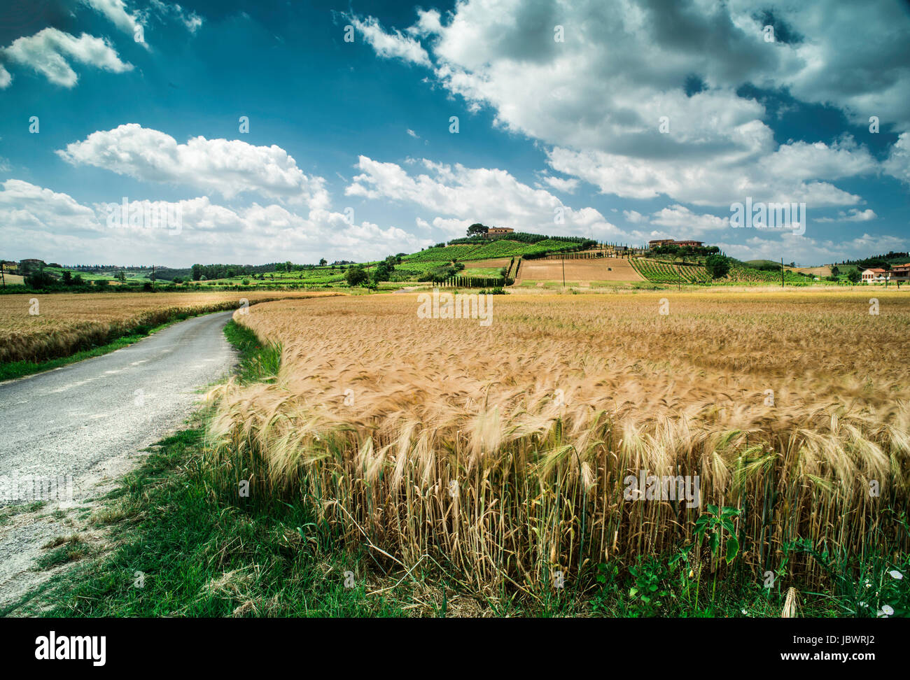 Cereal crops and farm in Tuscany, Italy Stock Photo - Alamy