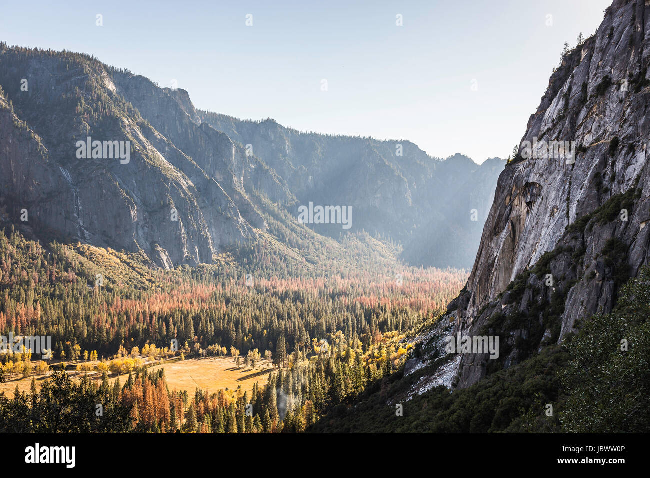 Elevated view of valley forest, Yosemite National Park, California, USA ...