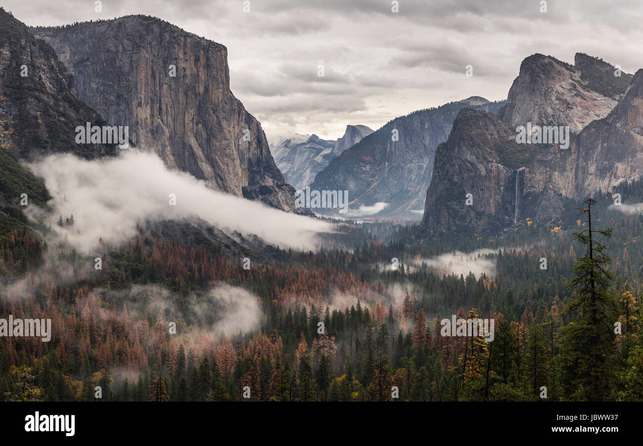 Elevated view of valley forest mist, Yosemite National Park, California ...