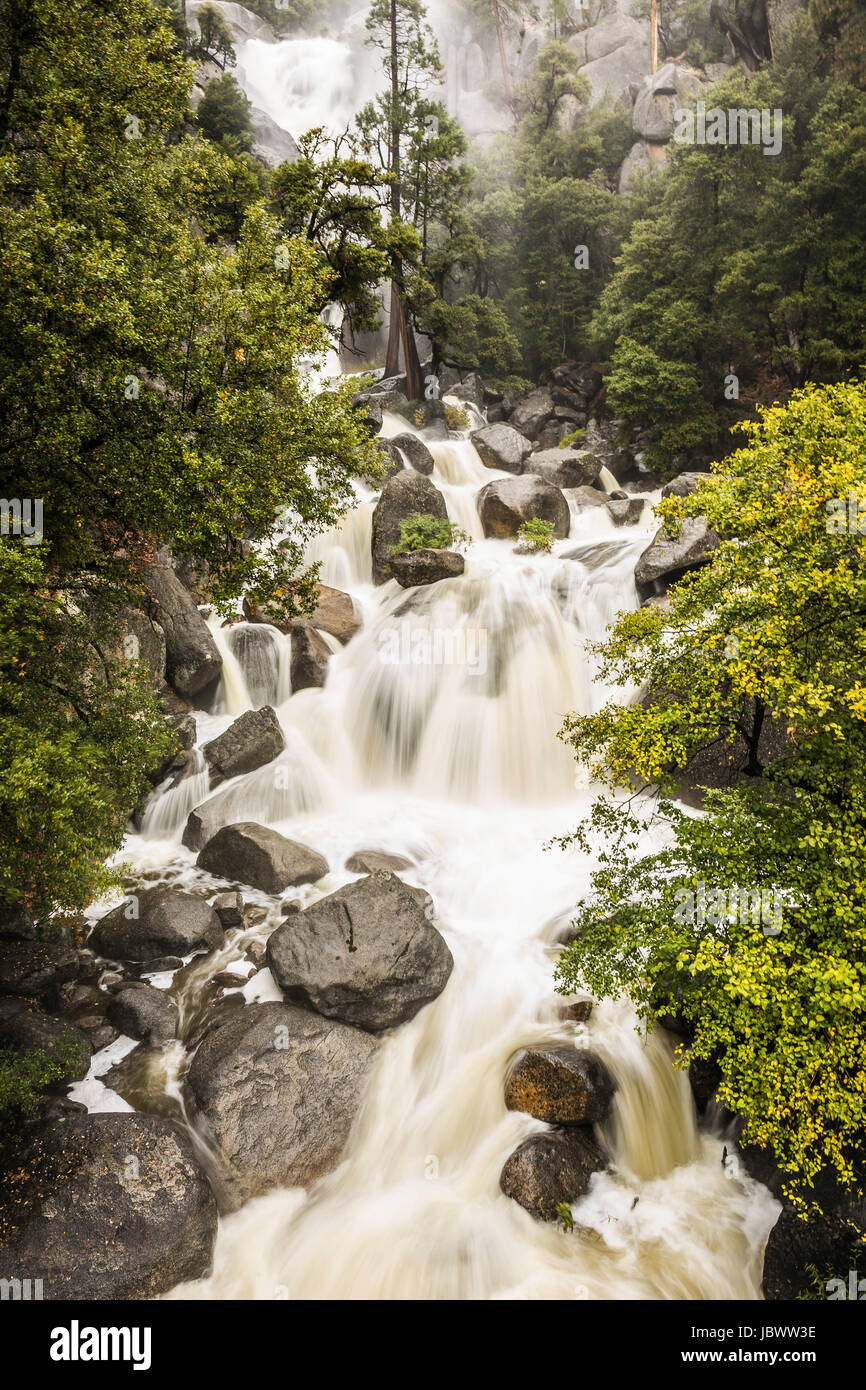 Rocky forest waterfall, Yosemite National Park, California, USA Stock ...