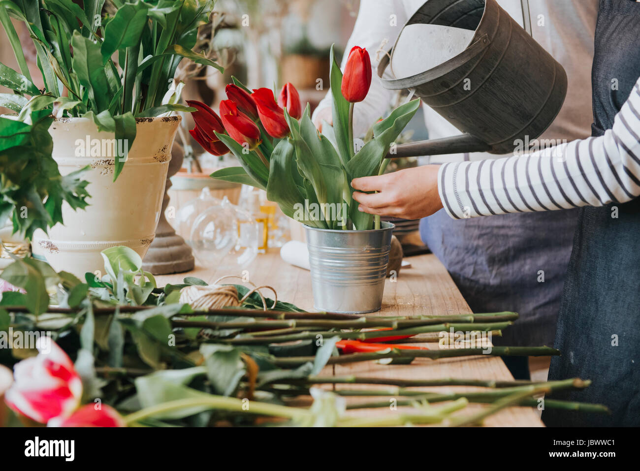 Tulip section hi-res stock photography and images - Alamy