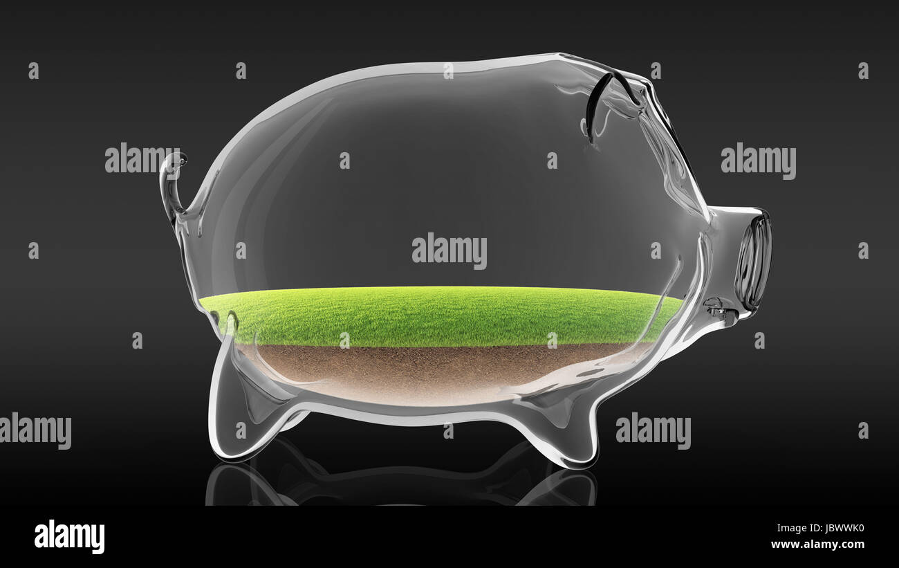 Conceptual image of a transparent empty piggy bank with a grass field ...