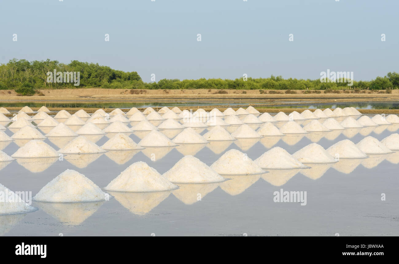 Pile farming thailand brine hi-res stock photography and images - Alamy