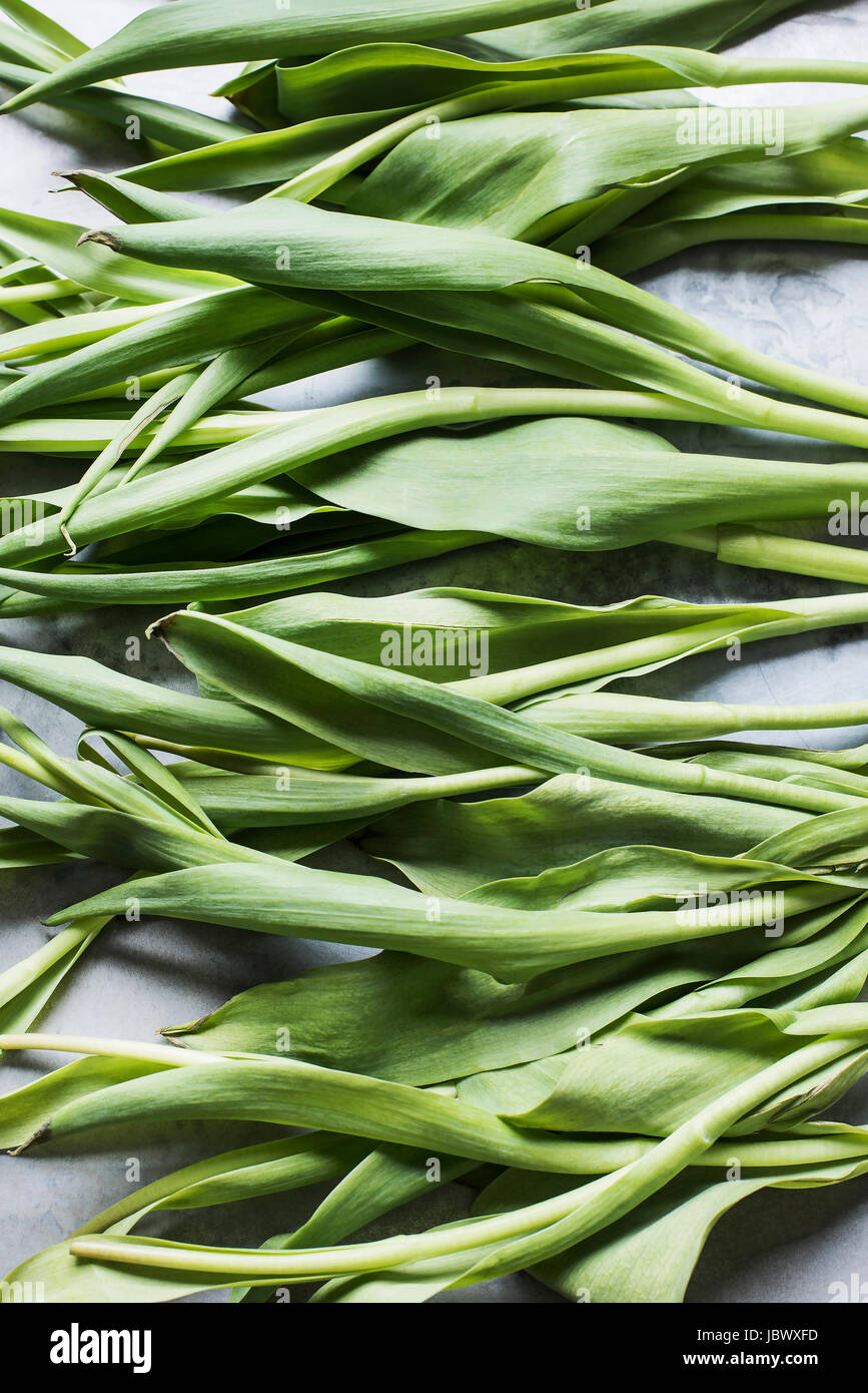 Cut flower stalks Stock Photo - Alamy