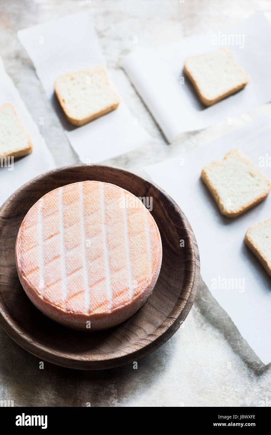 Cheese and mini toasts Stock Photo - Alamy