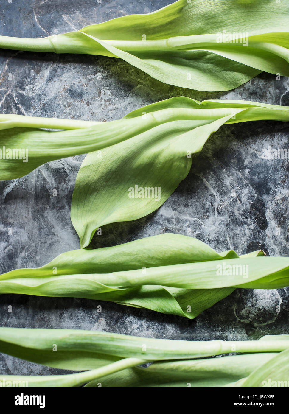 Cut flower stalks Stock Photo - Alamy