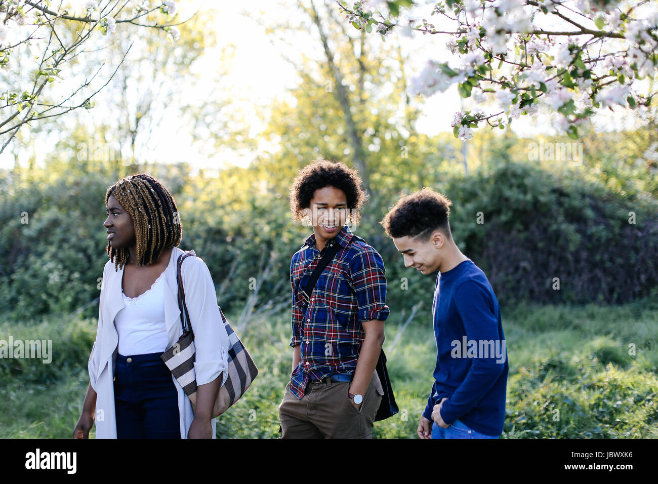 Group of friends, walking through park Stock Photo - Alamy