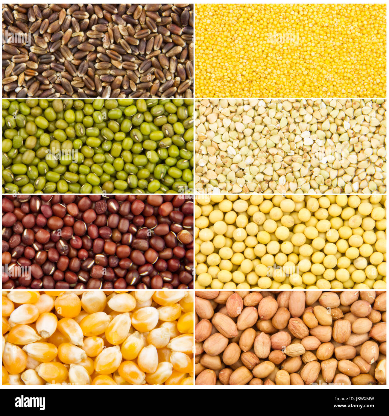 background of many kinds of different grains Stock Photo - Alamy