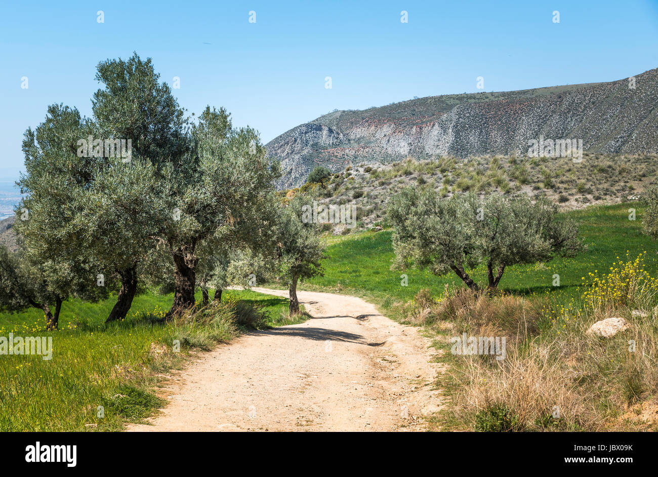 curved walking track in the mountains of andalusia in spain near ...